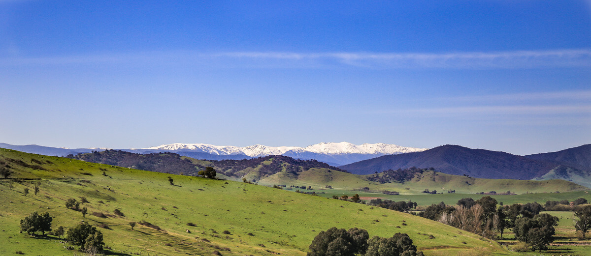 Experience Victoria | Liv Australia Travel